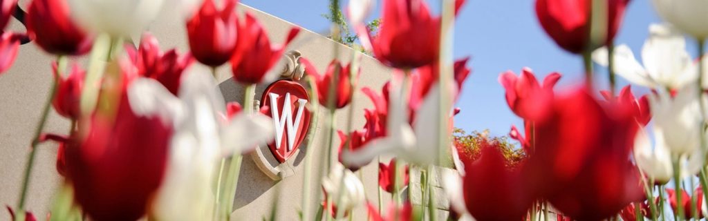 WMAA honors four pediatrics faculty with Medical Alumni Association ...