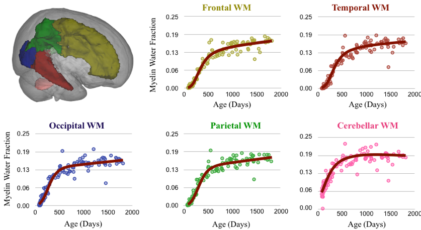 Dean Research Group – Department of Pediatrics – UW–Madison