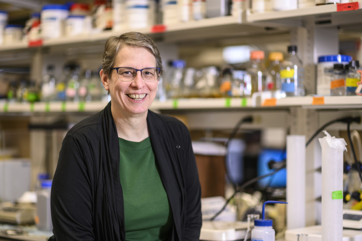 Christine Sorenson honored with 2022 Chancellor’s Award for Excellence ...
