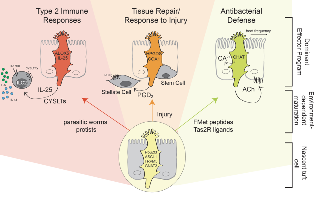O’Leary Research Group – Department of Pediatrics – UW–Madison