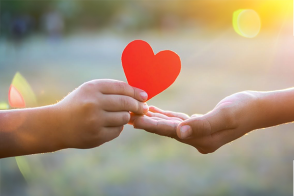 Together: The Healing Power of Human Connections in a Sometimes Lonely ...